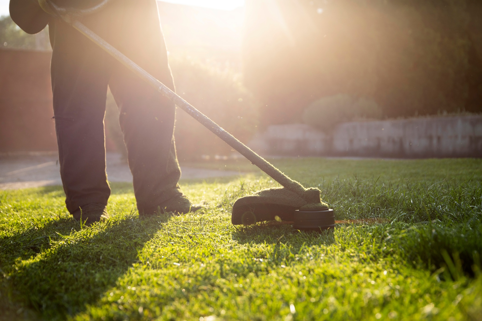 Lawn Care - S & P Land Restoration